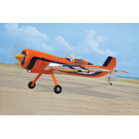 RC Aircraft ARF